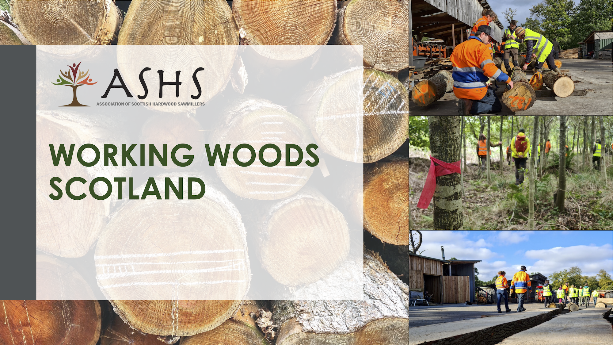 Working Woods Scotland Course